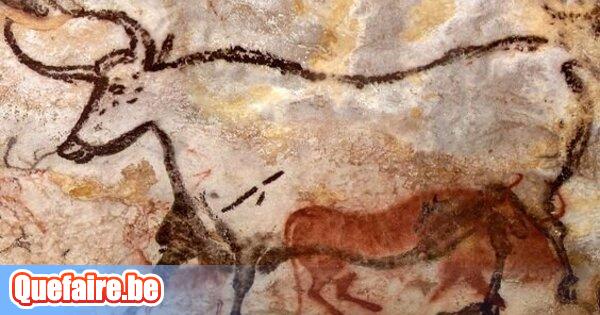 Soirées Soirée à Thème: A la table de Cro-magnon - Liège (Liège)
