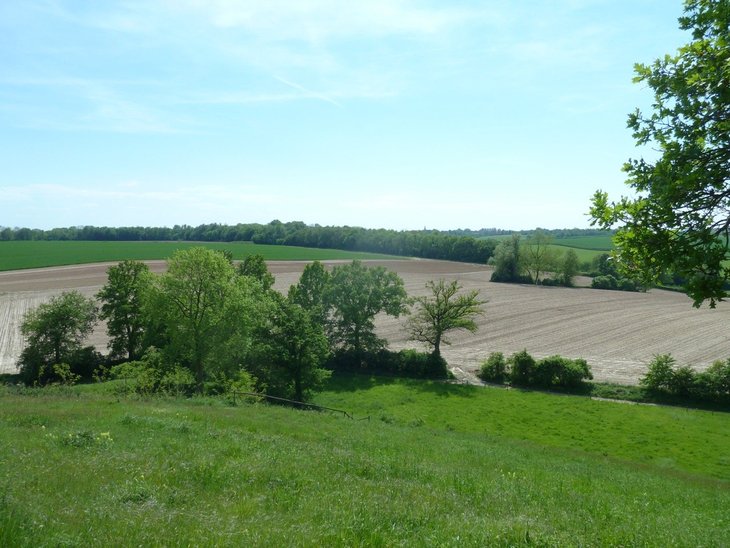 Loisirs Visite, balade: Balade à Angleur - Liège (Liège)