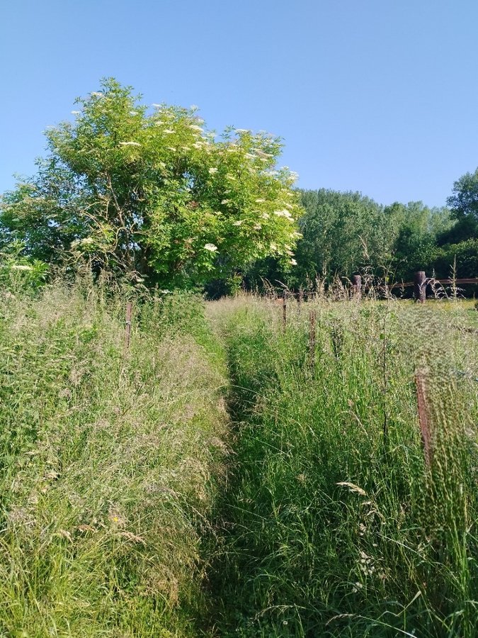 Loisirs Sport/ Marche, randonnée: Point vert Adeps d'orientation et ...